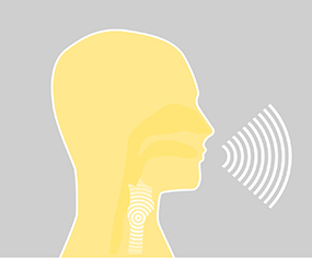 Basic acoustics | Acoustic knowledge | Ecophon